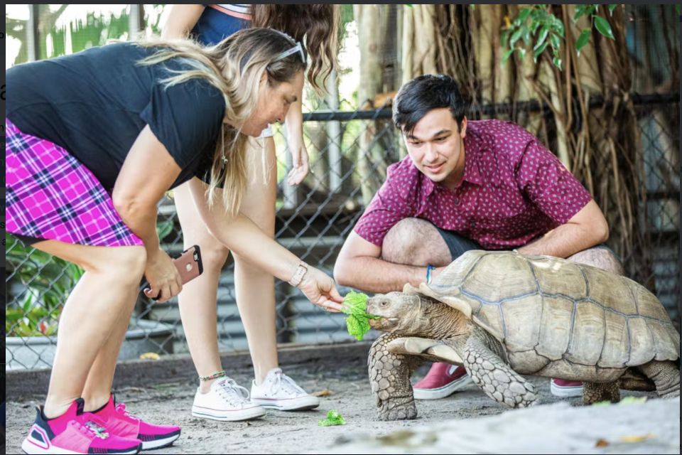 Everglades: Sawgrass Park Reptile Exhibit Private Tour - What to Expect During the Tour