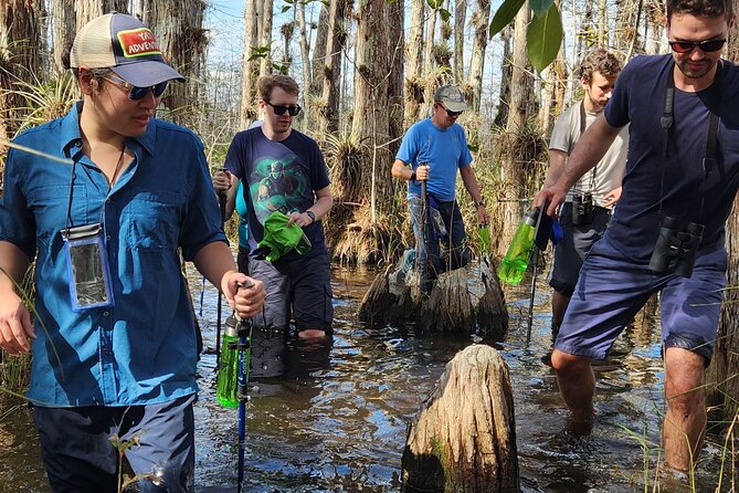 Everglades Tour w/ Biologist Led WET walk + 2 Boat Trips + Lunch! - Key Points