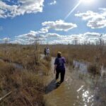 Everglades Tour w/ Biologist Led WET walk + 2 Boat Trips + Lunch! - How the Experience Comes Together