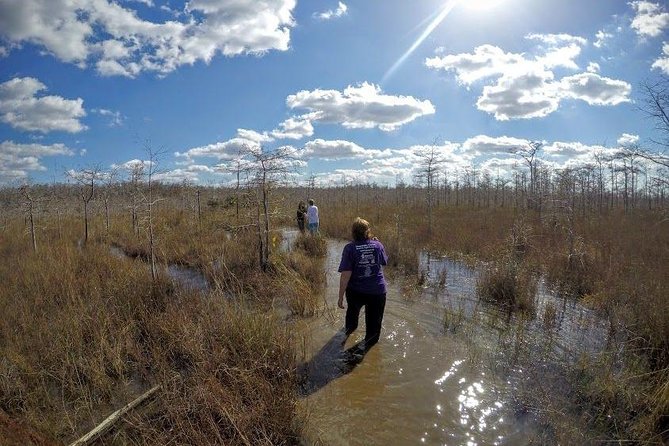 Everglades Tour w/ Biologist Led WET walk + 2 Boat Trips + Lunch! - How the Experience Comes Together