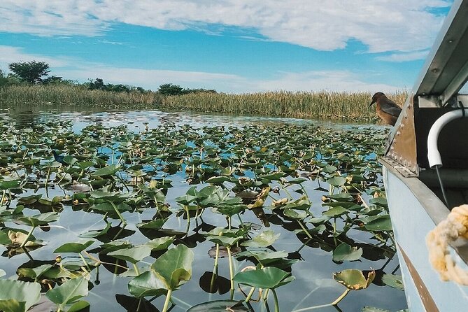Everglades Tour with professional Tourguide inclusive pickup - The Itinerary Breakdown