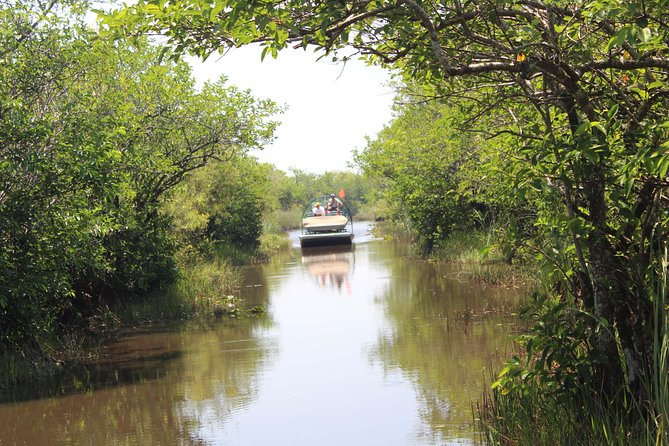 Everglades Tour with professional Tourguide inclusive pickup - Practical Details and Tips