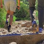 Exclusive: Happy Cactus Tour to Apache Trail & Superstition Mtn - Detailed Itinerary Breakdown