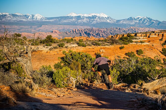 Exclusive Intermediate Advanced Private Guided Mountainbike Tour - Final Thoughts on Value and Experience