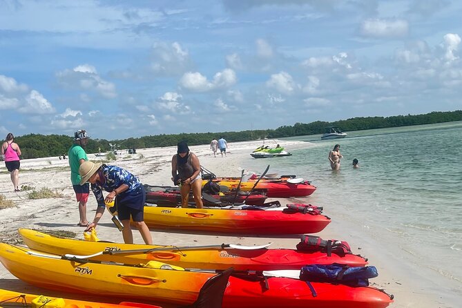 Exclusive Kayak Expedition: Exploring the Mangroves to Shell Key - The Itinerary Breakdown