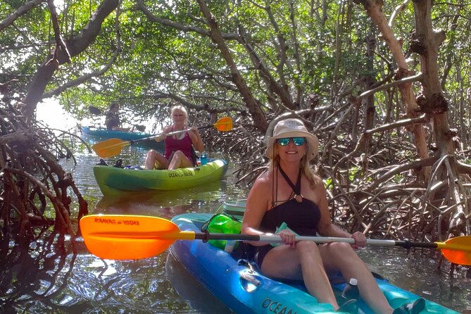 Exclusive Kayak Expedition: Exploring the Mangroves to Shell Key - Who Should Consider This Tour?