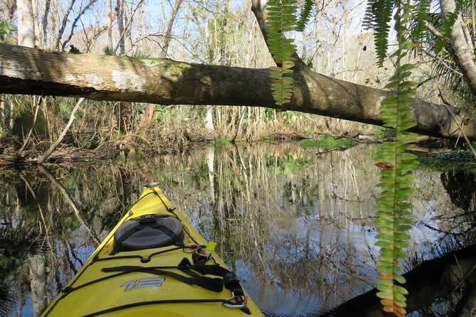 Exclusive Nature Escape Kayak Adventure on Blackwater Creek - Exclusive Nature Escape Kayak Adventure on Blackwater Creek
