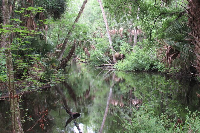 Exclusive Nature Escape Kayak Adventure on Blackwater Creek - Why the Tour is a Great Value