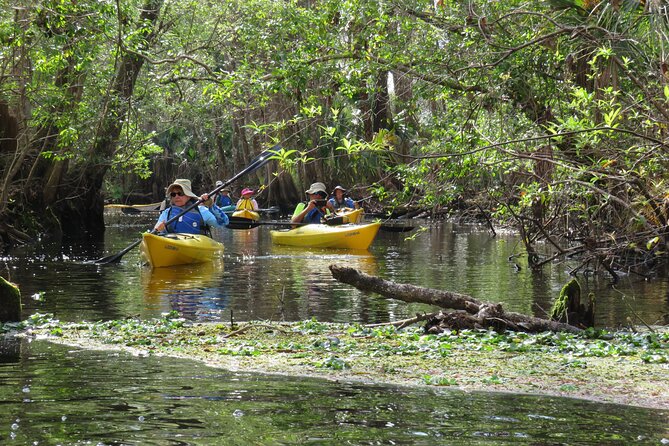 Exclusive Nature Escape Kayak Adventure on Blackwater Creek - Practical Details and Tips for Your Kayaking Day