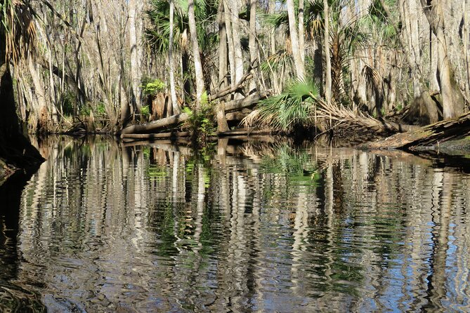 Exclusive Nature Escape Kayak Adventure on Blackwater Creek - Who Will Love This Experience?