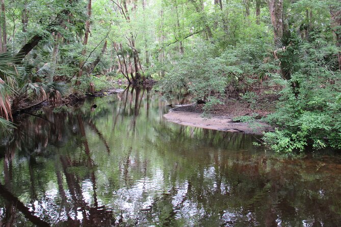 Exclusive Nature Escape Kayak Adventure on Blackwater Creek - Frequently Asked Questions