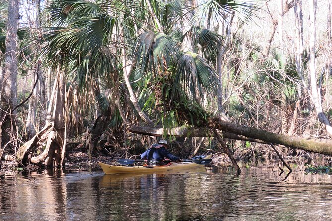 Exclusive Nature Escape Kayak Adventure on Blackwater Creek - Final Thoughts