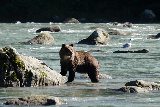 Exclusive Photography Tour to Haines - Skagway Departure - Why This Tour Is a Value for Photographers and Nature Lovers
