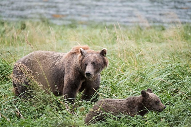 Exclusive Photography Tour to Haines - Skagway Departure - Final Thoughts: Is It Worth It?