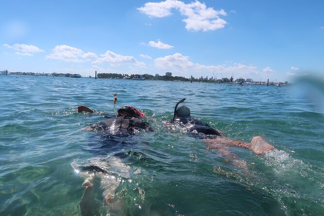 Exclusively Private Snorkel Adventures Training & Tours Ultimate - The Sum Up: Who Is This Tour Perfect For?