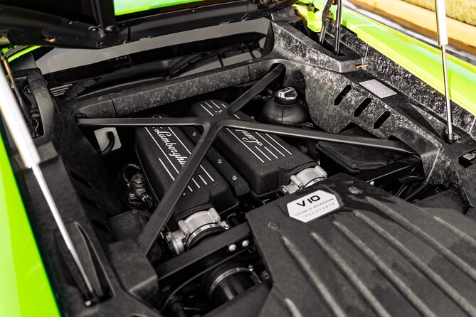 Exotic Car rental in Orlando - Authentic Insights from Reviews
