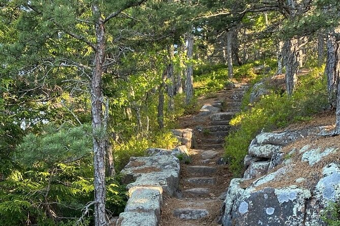 Experience Acadia: Private 3-hr tour with local guide. - Key Points