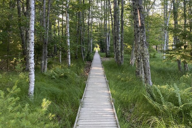 Experience Acadia: Private 3-hr tour with local guide. - The Practicalities: What You Need to Know