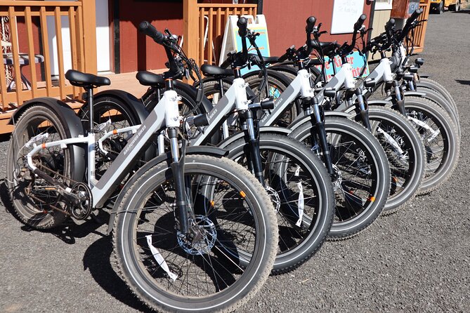 Experience E-Bike with Wine Tasting Activity - Exploring the Itinerary and Experience