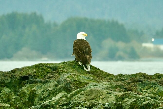 Experience Local Marine Wildlife Tour - Price and Value
