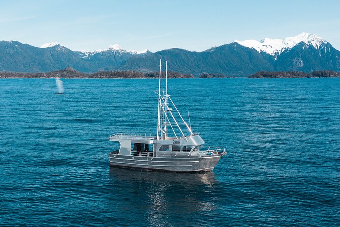 Experience Local Marine Wildlife Tour - Frequently Asked Questions