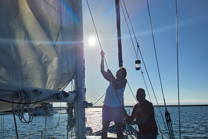 Experience Oceanside Sailing with Whales and dolphins! - What to Expect on the Itinerary