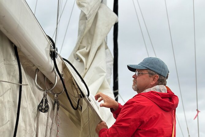 Experience Oceanside Sailing with Whales and dolphins! - Group Size and Booking Practicalities