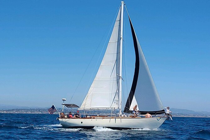 Experience Oceanside Sailing with Whales and dolphins! - Final Thoughts: Is This Experience Worth It?