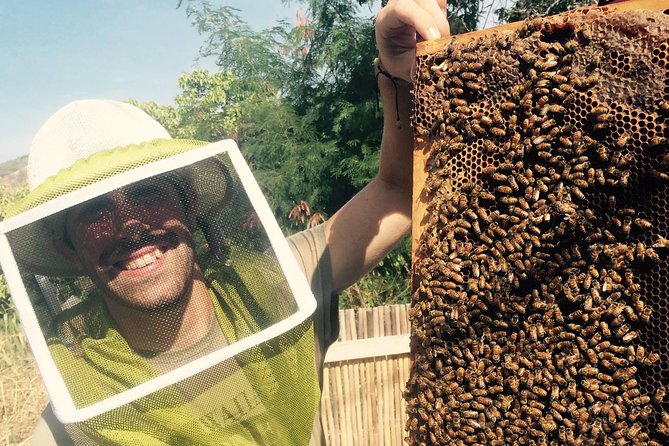 Experience Our Honey Farm And Beekeeping Tour - Deep Dive into the Tour Features