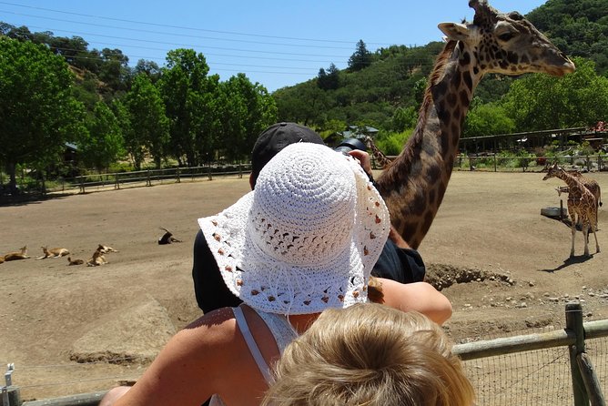 Experience our redwoods and wild Safari outdoor adventure - FAQ