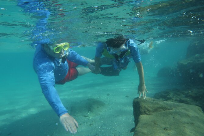 Experience Peanut Island Adventures - Key Points