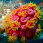 Experience Peanut Island Adventures - Final Thoughts