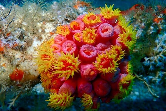 Experience Peanut Island Adventures - Final Thoughts