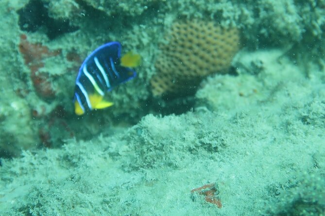 Experience Peanut Island Adventures - FAQ