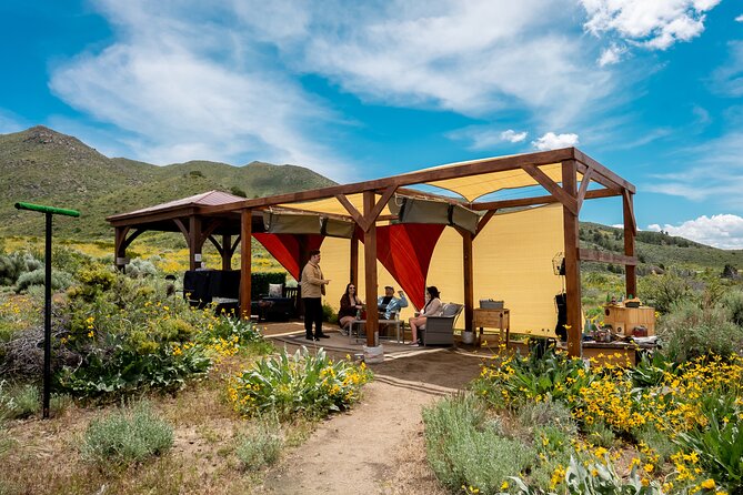 Experience Raptors and Falconry in Reno - The Authenticity and Quality of the Experience