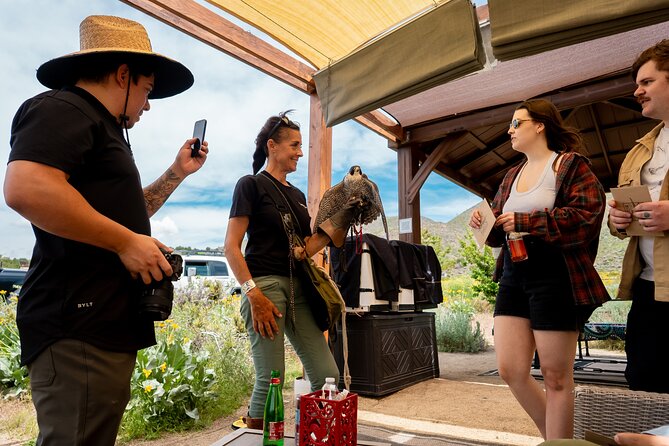 Experience Raptors and Falconry in Reno - The Value of the Tour