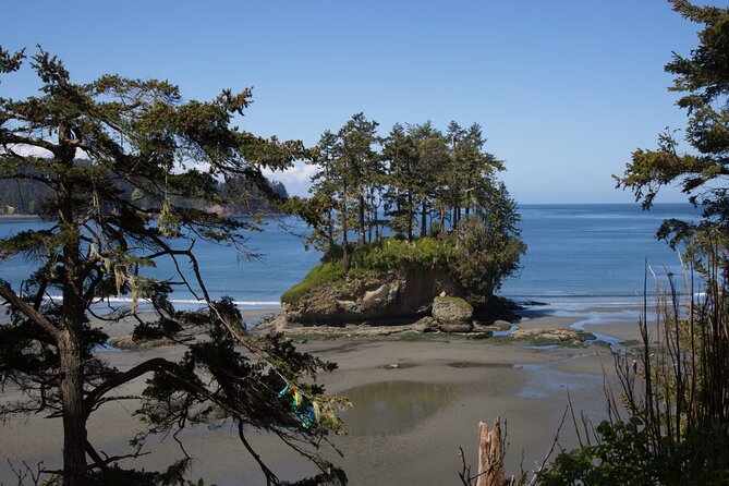 Experience the Spectacular Beauty of the Olympic Peninsula - Who Will Love This Tour?