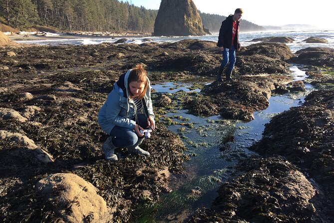 Experience the Spectacular Beauty of the Olympic Peninsula - FAQ