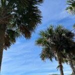Experience Wild Florida Nature Up Close on Electric Trike (2 hrs) - Who Should Consider This Tour?
