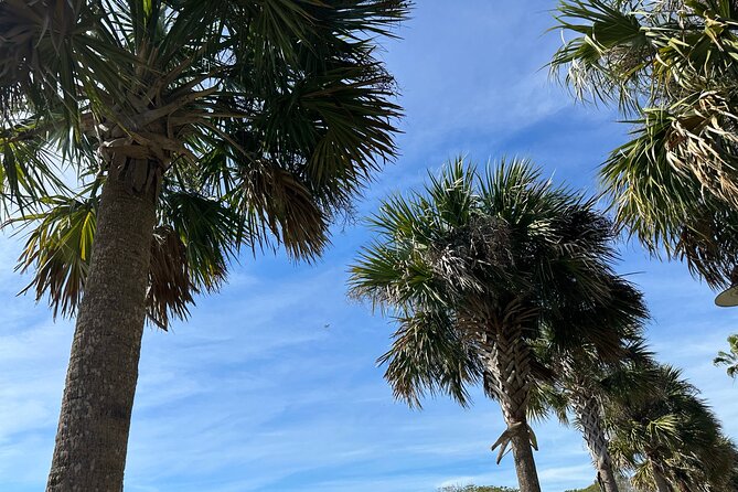 Experience Wild Florida Nature Up Close on Electric Trike (2 hrs) - Who Should Consider This Tour?