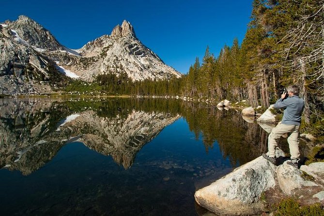 Experience Yosemite: Beginner or Advanced Photography Lesson - Who Should Take This Tour?