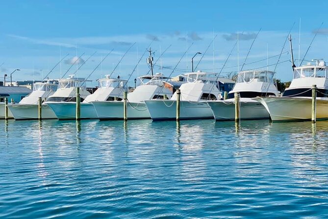 Exploration of Majestic Crystal Coast - A detailed look at the exploration of the Crystal Coast