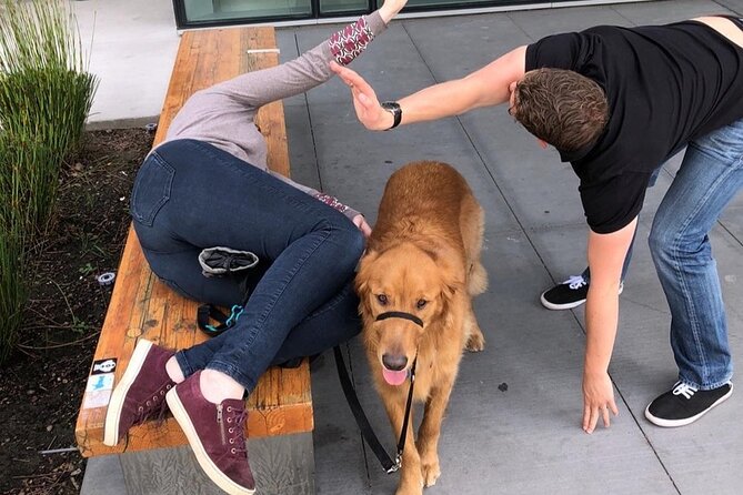 Explore Anaheim with a Unique Scavenger Hunt by Wacky Walks - Final Thoughts