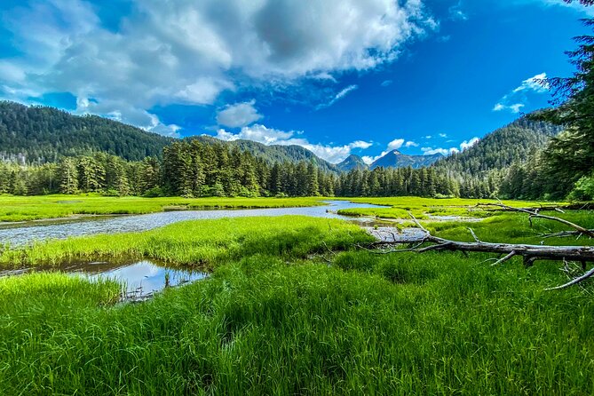 Explore Beyond the Dock: Unforgettable Private Tour in Sitka - Key Points