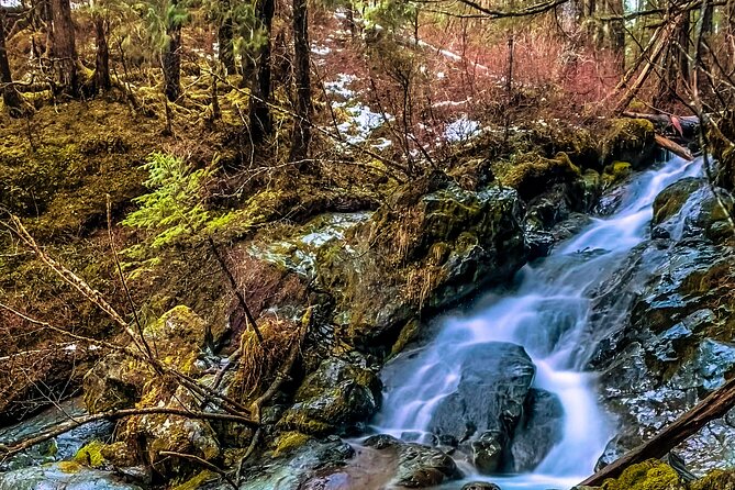 Explore Beyond the Dock: Unforgettable Private Tour in Sitka - Final Thoughts