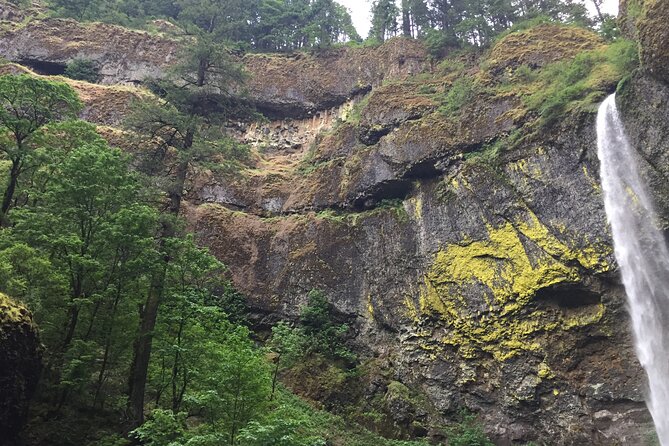 Explore Columbia River Gorge Half-Day Small-Group Hiking Tour - Key Points