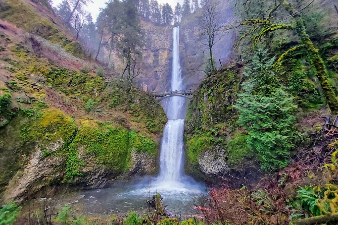 Explore Columbia River Gorge Half-Day Small-Group Hiking Tour - An In-Depth Look at the Tour Itinerary