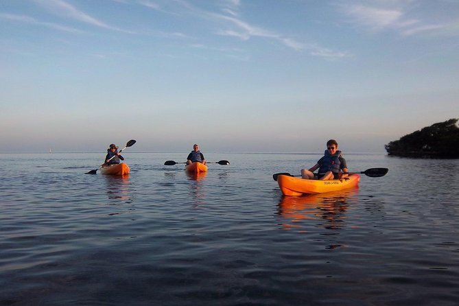 Explore Mangrove Creeks with an All Day SUP/single kayak Rental - Why This Paddling Experience is a Must