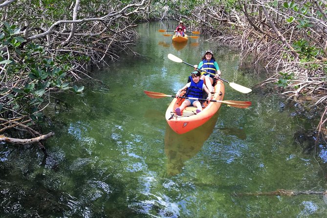 Explore Mangrove Creeks with an All Day SUP/single kayak Rental - What to Expect During Your Day