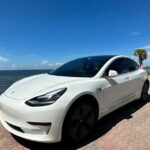 Explore Miami with a Private driver - Why This Tour Offers Good Value